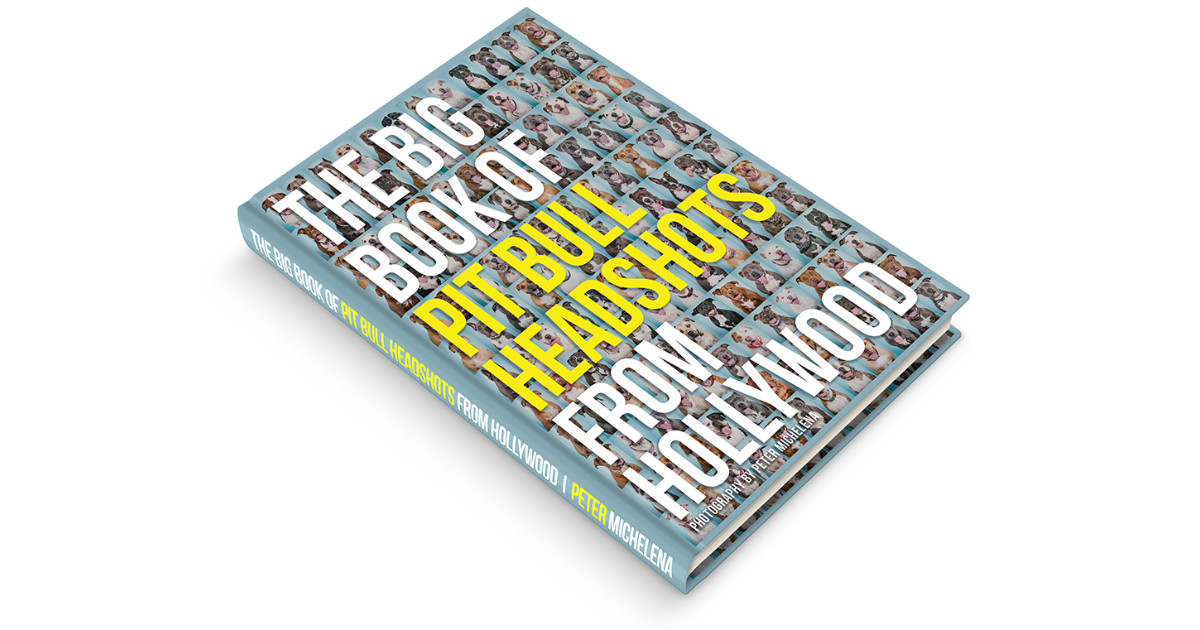 The Big Book of Pit Bull Headshots from Hollywood by Peter Michelena ...