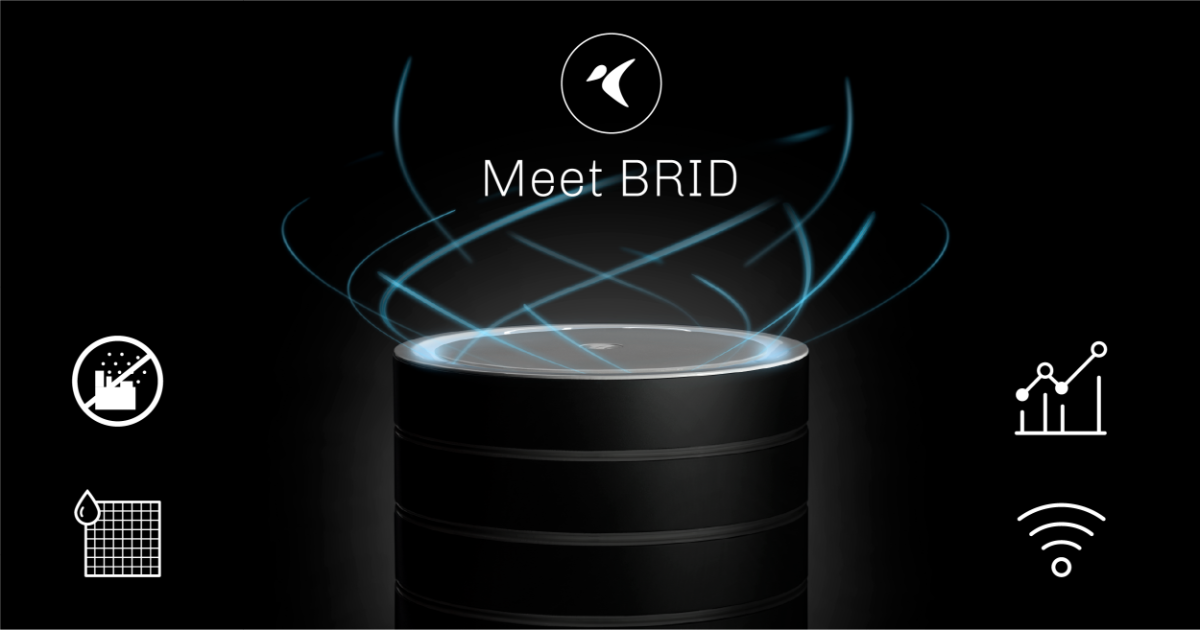 BRID the 'Forever' NanoTechnology Air Purifier by Atellani - Indiegogo