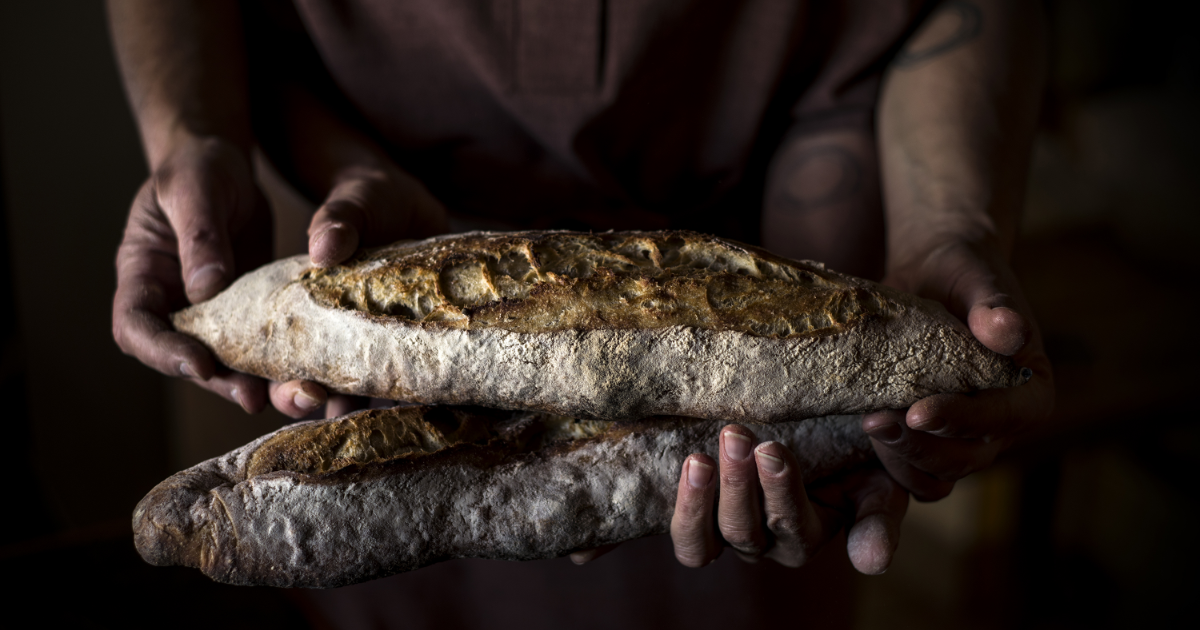 The Accidental Baker by Mo Lewis - Indiegogo