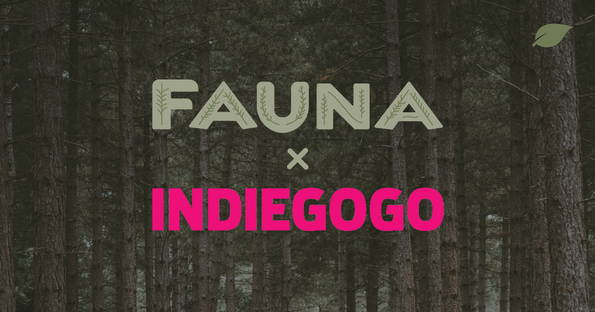 Fauna Animation: Getting Started! by Fauna Animation - Indiegogo