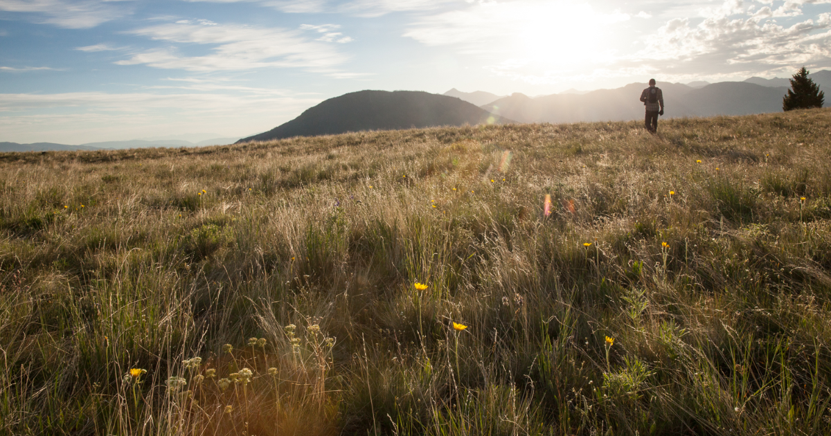 The Common Ground Project by Daniel Anderson - Indiegogo