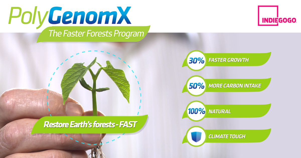 Faster Forests by Peter Rowe - Indiegogo