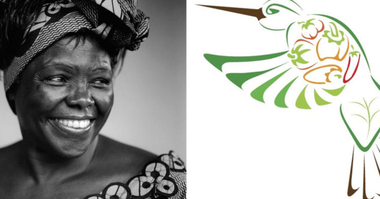 And the Hummingbird Says . . . by Martin Rowe - Indiegogo