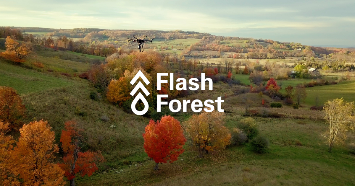 Flash Forest: Drones to Plant 1 Billion Trees by Bryce Jones - Indiegogo
