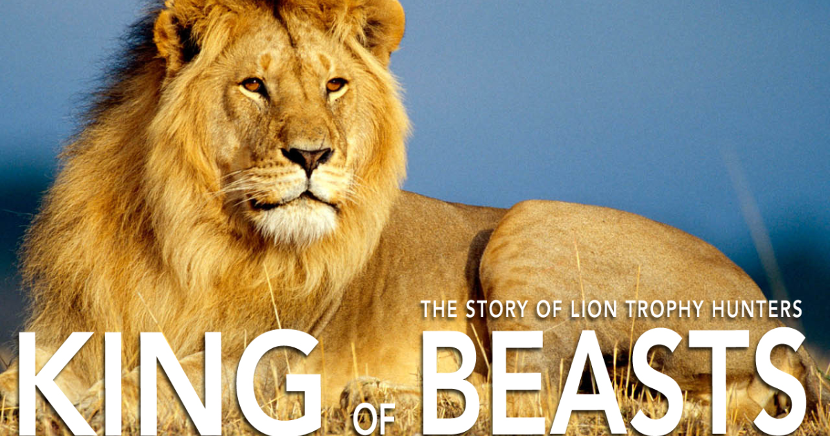 KING OF BEASTS: the story of lion trophy hunting by Gabrielle Almagor ...