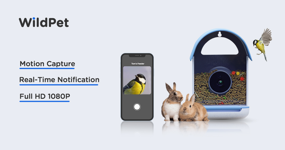 WildPet: Smartest Motion Capture Animal Feeder by WildPet Smart Feeder ...
