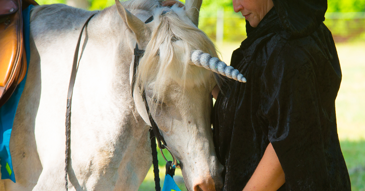 Unicorn & Centaur: Theatre on Horseback by Michelle Padgett - Indiegogo