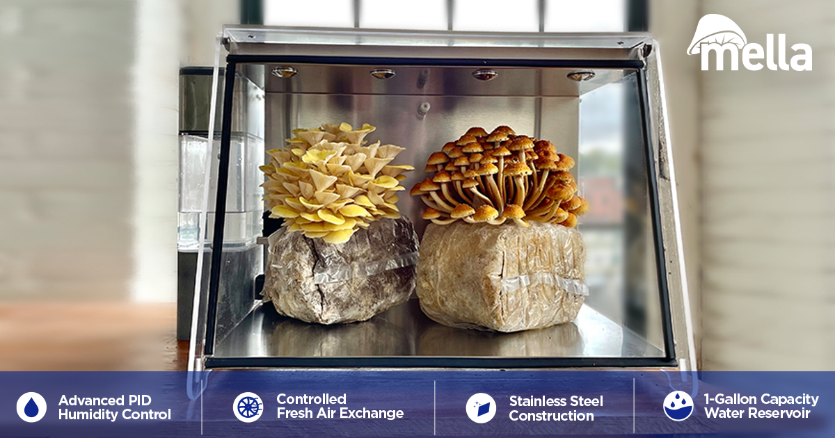 Mella Mushroom Fruiting Chamber