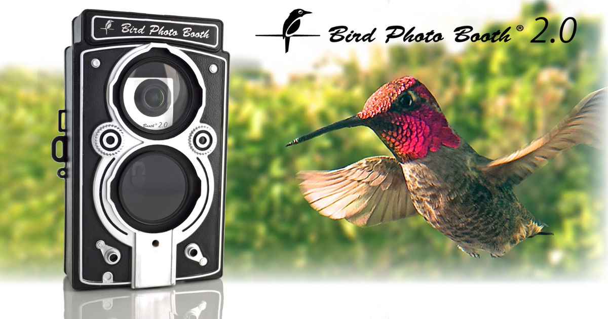Bird Photo Booth 2.0- Bird feeder & bird cam combo by Bryson Lovett ...