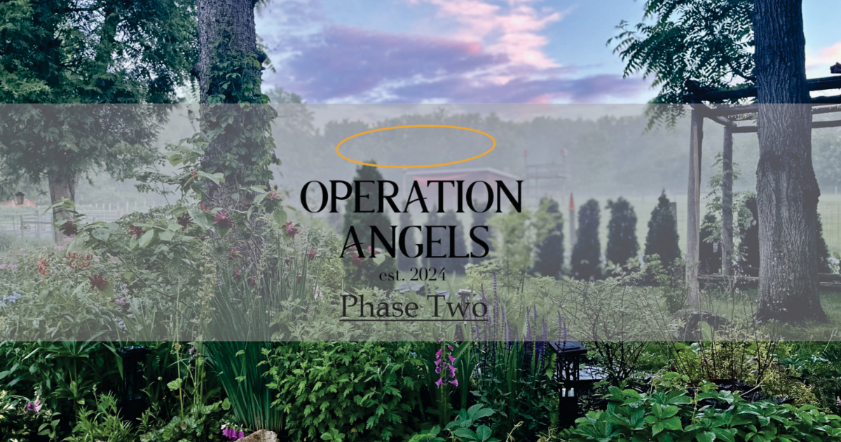 Operation Angels- Phase Two by Steve Jenkins - Indiegogo