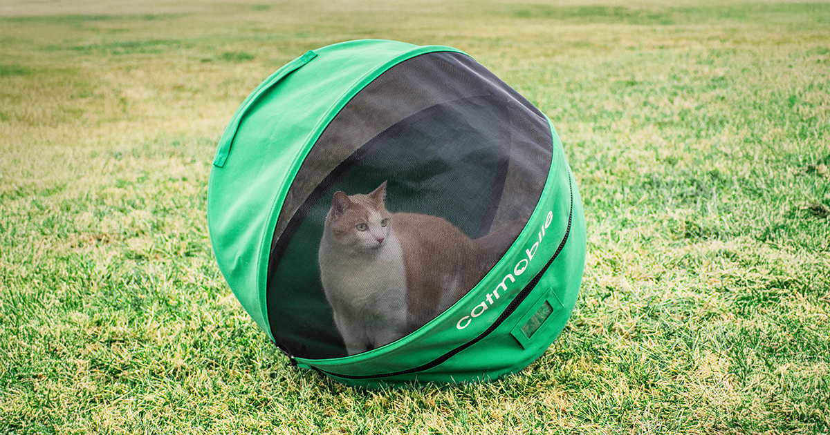 Catmobile: Outdoor exercise ball for indoor cats by Furball Enterprises ...