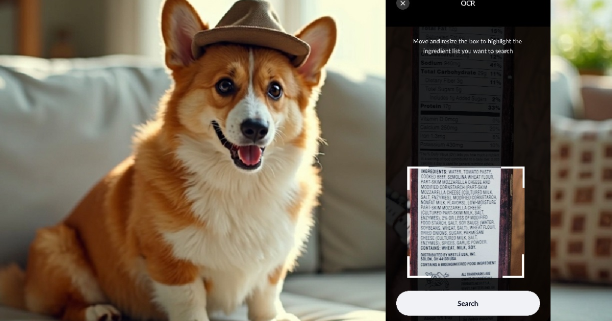 ToxiPets: Pet Poison Scanner by Misagh Jebeli - Indiegogo