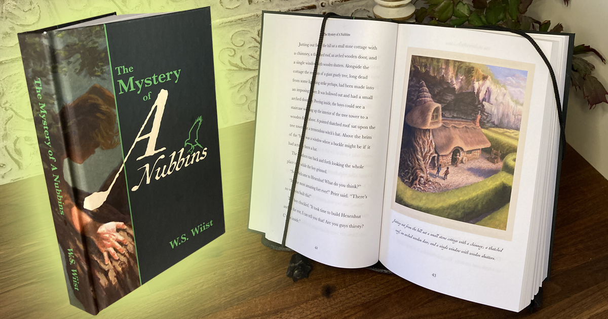 The Mystery of A Nubbins: New Illustrated MG Novel by WS Wiist - Indiegogo