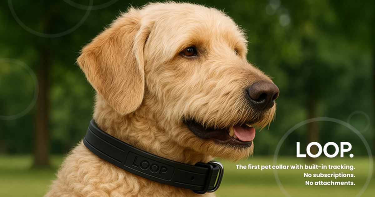 LOOP Pet Tracker by David Sears - Indiegogo