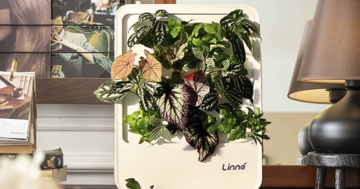 LinnéGarden: World’s 1st Smart 3D Hydro Garden by Michaela Hu - Indiegogo