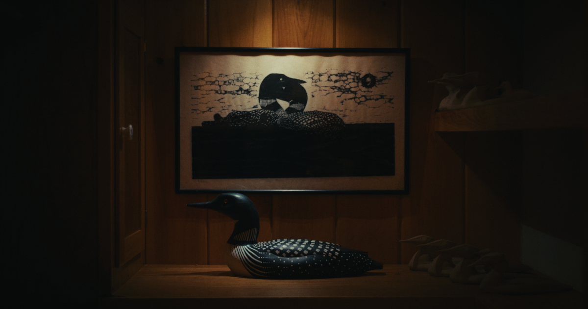The Loon by Charles W. Stacey - Indiegogo