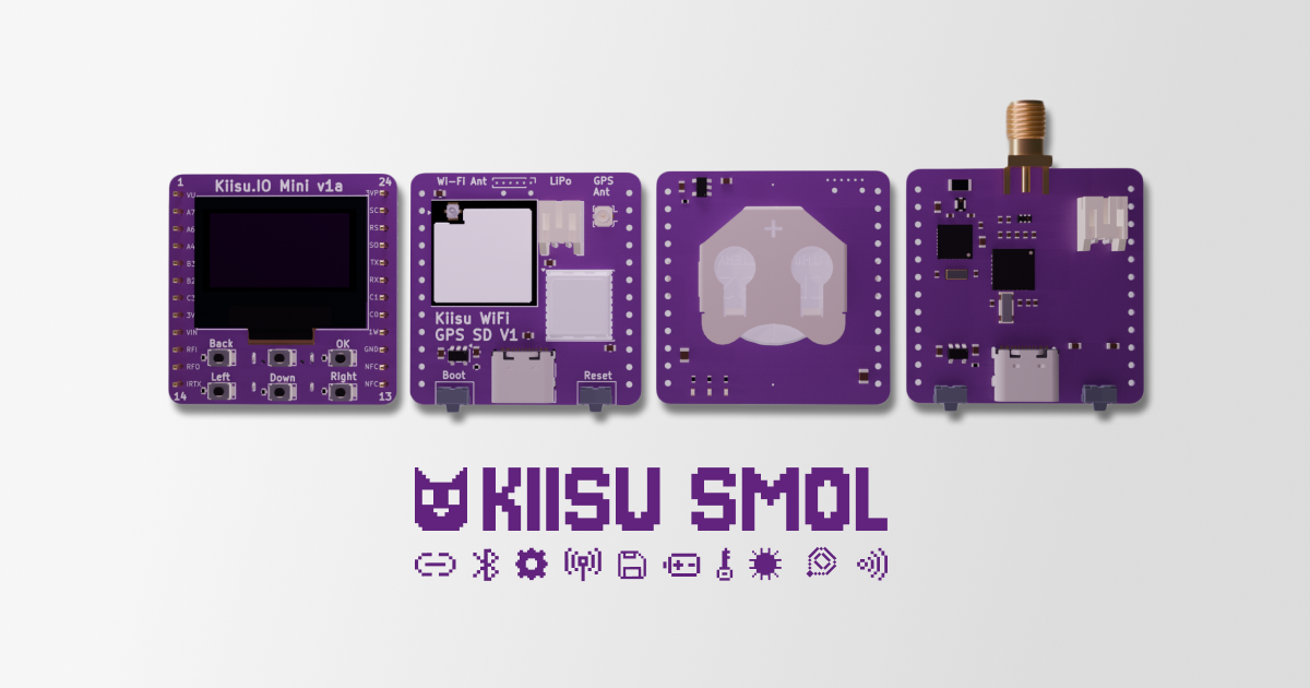 KIISU Smol - Networking Development Board by Rainwalker - Indiegogo
