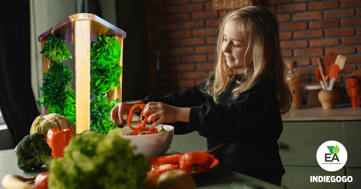 The Eden Aeroponics Project by Dan Atkinson - Indiegogo