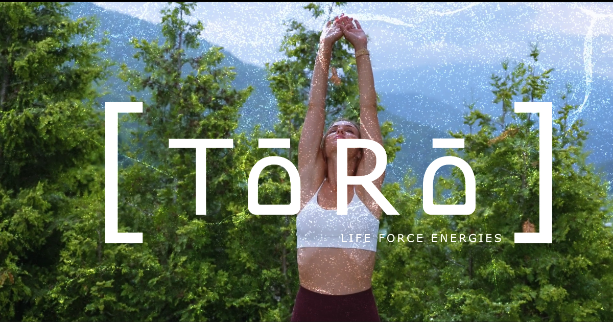 Toro - Life Force Energy by Scott Sniedzins - Indiegogo