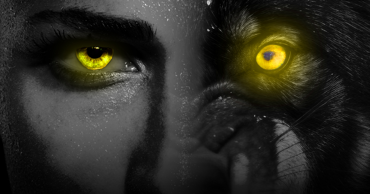 Werewolf Hour: The Web Series by Sophie Laird - Indiegogo