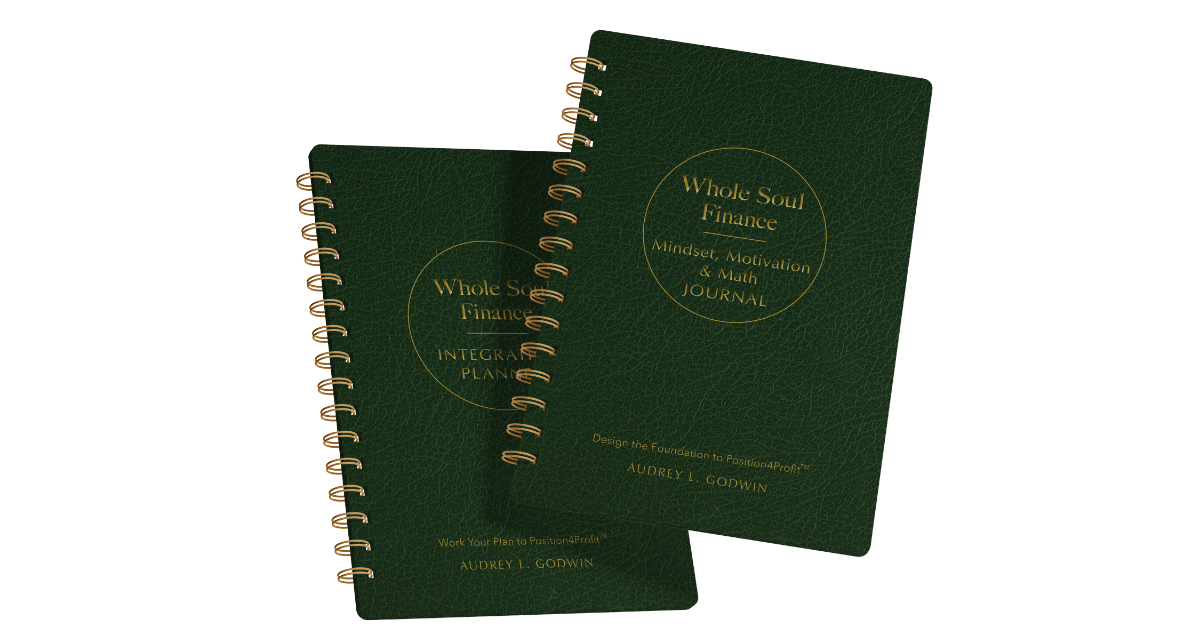 Whole Soul Finance Journal and Planner by Audrey Godwin - Indiegogo