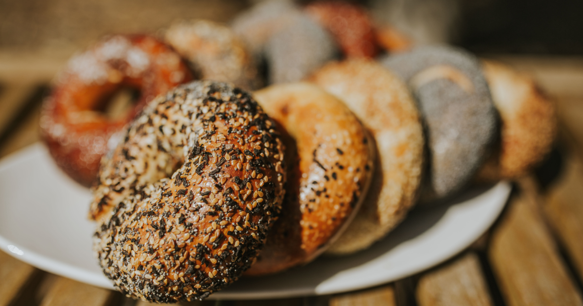 Toasted: Artisanal Bagels by Ariella Wolkowicz - Indiegogo