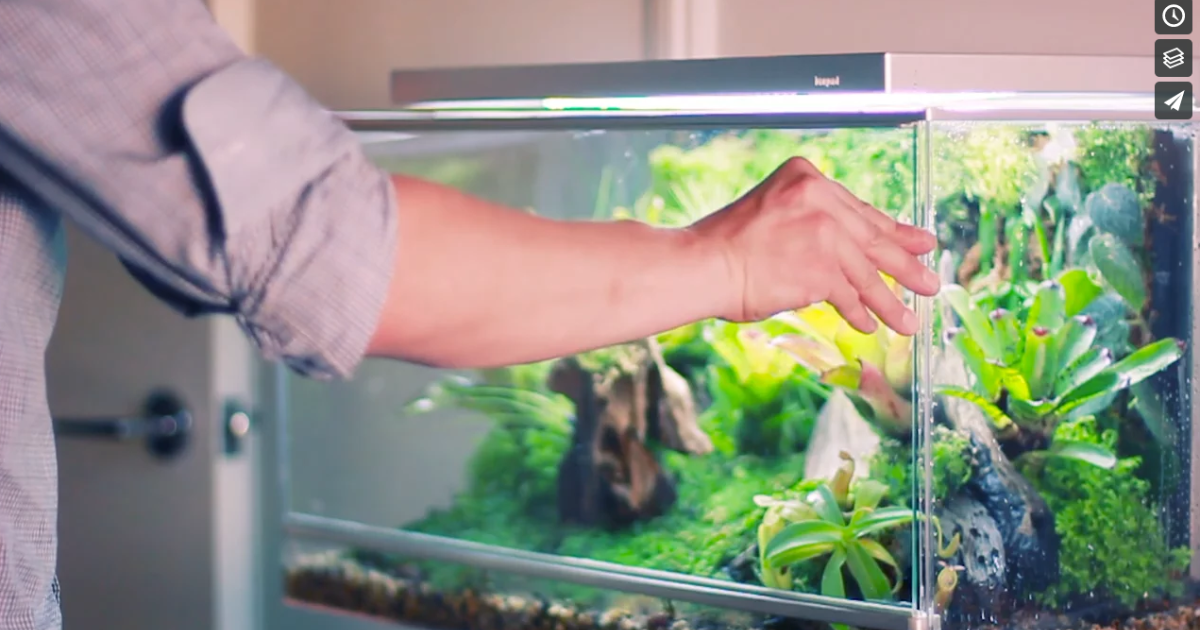 Biopod - World's First Smart Microhabitat by Biopod Systems Inc - Jared ...