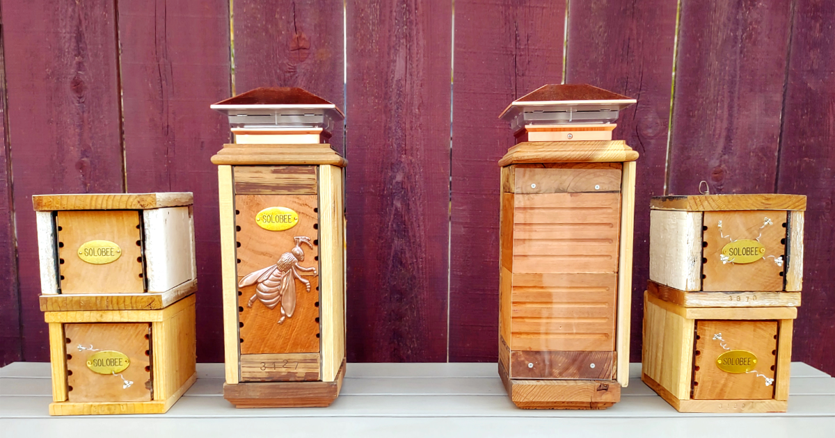 SeeBee Native Bee Observation Shelter by Candace Vanderhoff - Indiegogo