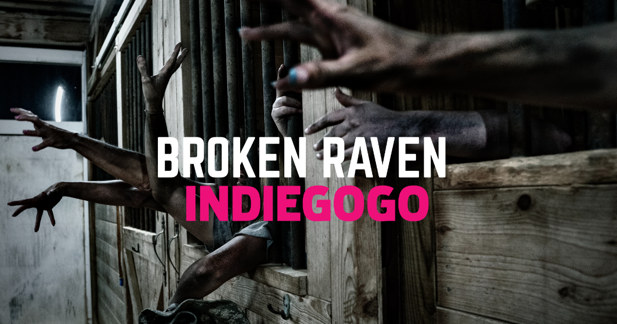 BROKEN RAVEN by Jermaine nix - Indiegogo