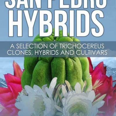 TRICHOCEREUS Volume 2: SAN PEDRO HYBRIDS Book by Patrick Noll - Indiegogo