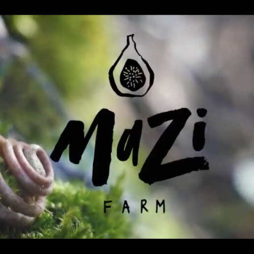 Mazi Farm : Farming for The Future by DIMITRI TSITOS - Indiegogo