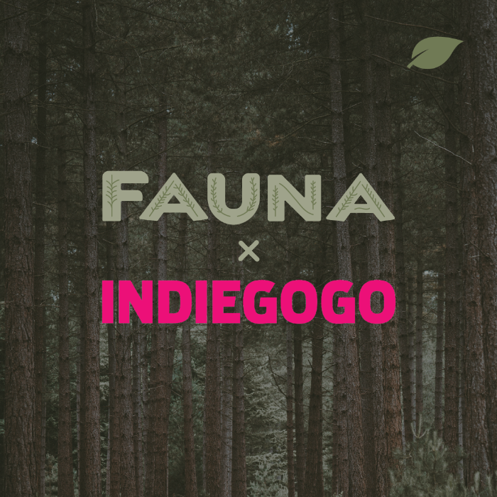 Fauna Animation: Getting Started! by Fauna Animation - Indiegogo