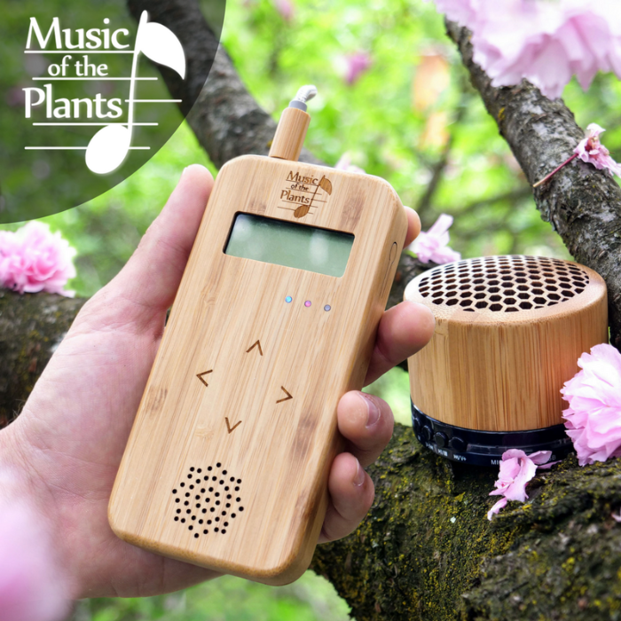 Bamboo - The instrument that gives plants a voice by Music of the ...