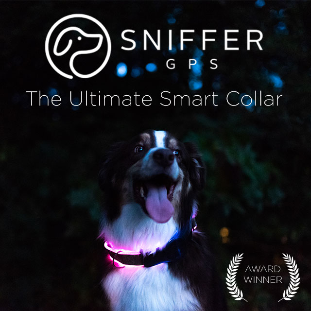 Sniffer GPS - The Ultimate Smart Collar by Reid Kersey - Indiegogo