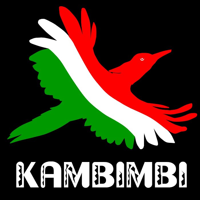 Kambimbi: The Legend of the African Rain Bird by Coren Jonathan Allen ...
