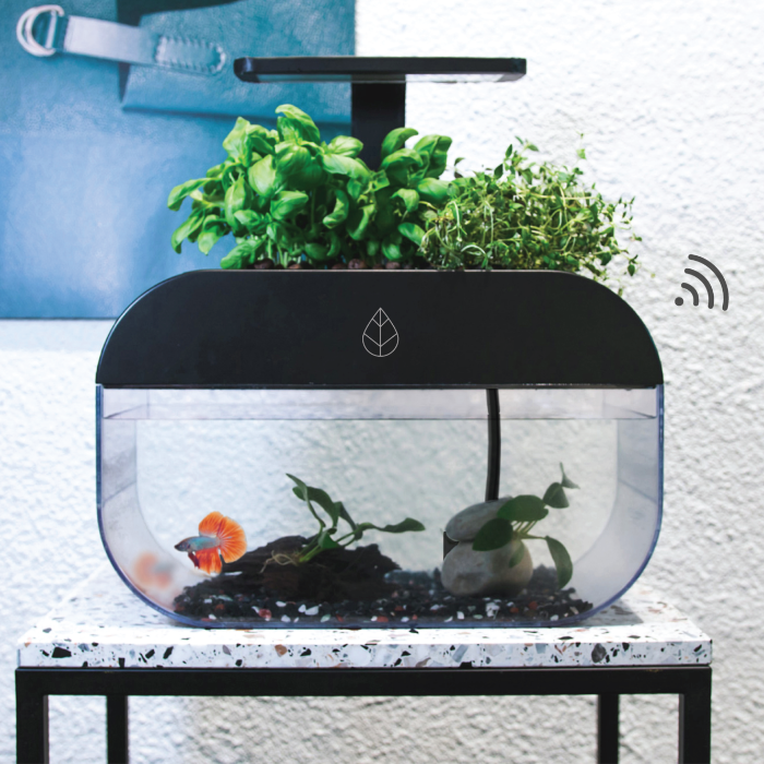 EcoGarden: World's Smartest Interactive Ecosystem by Ecobloom - Indiegogo