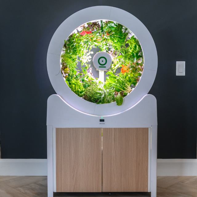 OGarden Smart:Indoor Garden of 90 Fruits & Veggies by Pierre Nibart ...