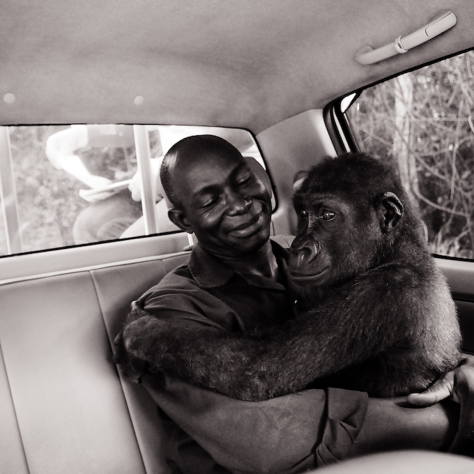 We Animals - the Book by Jo-Anne McArthur - Indiegogo