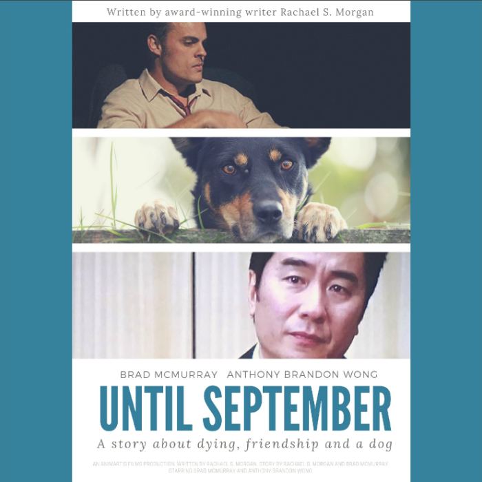 UNTIL SEPTEMBER - STAGE ONE - Development by Animartis Films - Indiegogo