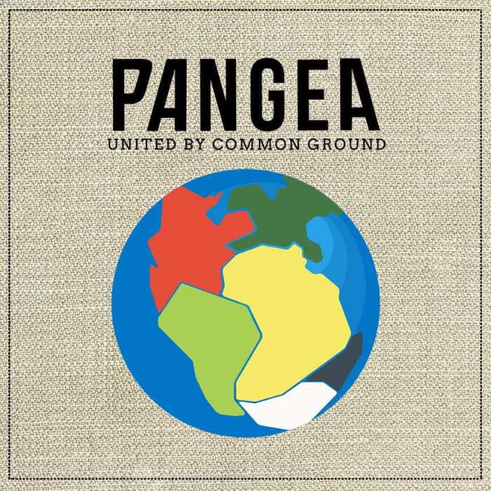 PANGEA Bamboo Travel Towel by PANGEA Movement - Indiegogo