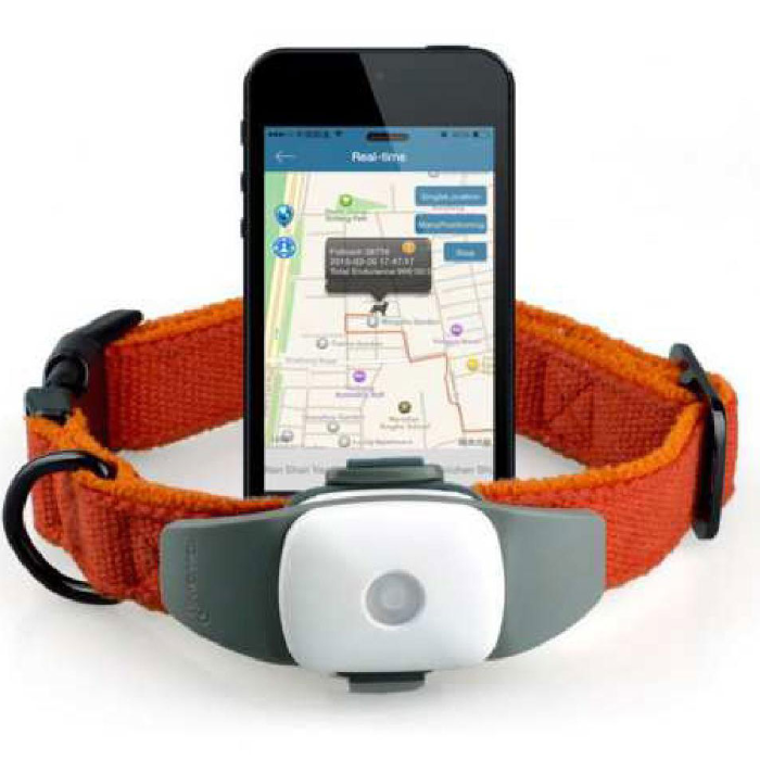 GPS KIDS & PETFINDER WORLDWIDE by Alexander Klaus - Indiegogo