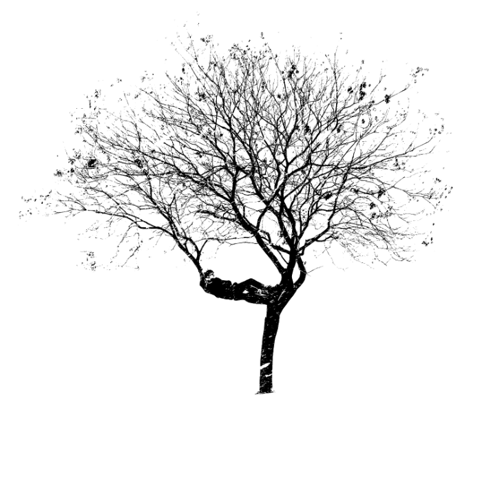 See through my eyes. by Karol Piotrowski - Indiegogo