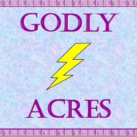 Godly Acres Web Series by Crystal Smith-Connelly - Indiegogo