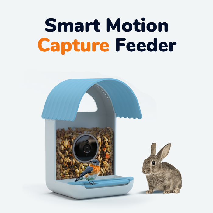 WildPet: Smartest Motion Capture Animal Feeder by WildPet Smart Feeder ...