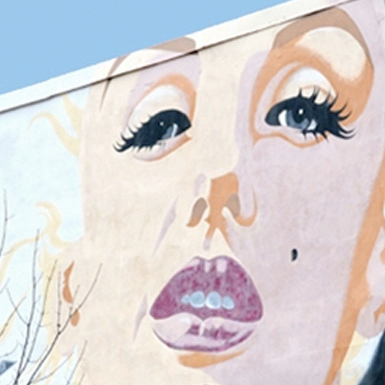 DC Mural Book by Perry Frank - Indiegogo