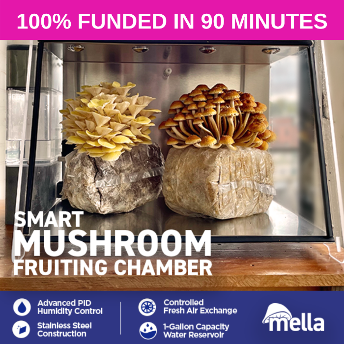 Mella Mushroom Fruiting Chamber