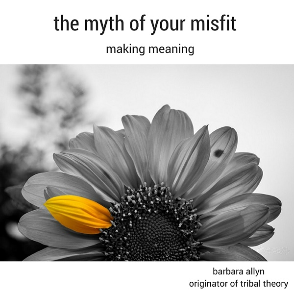 Tribal Theory - The Myth Of Your Misfit by Barbara Allyn - Indiegogo