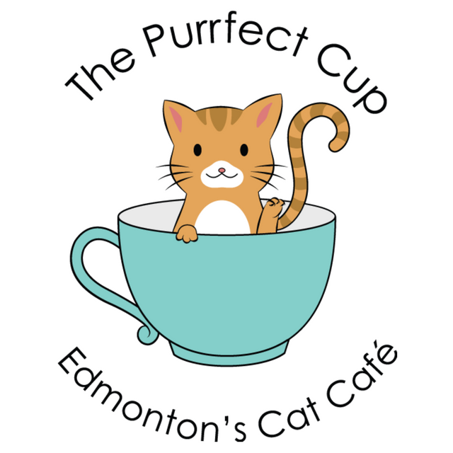 Opening a Cat Cafe in Edmonton! by Chanel Lethbridge - Indiegogo