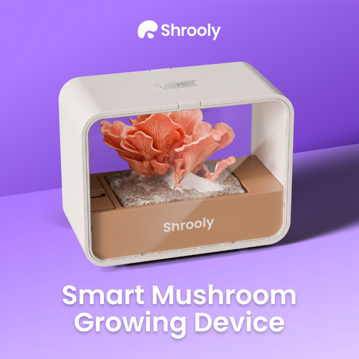 Shrooly: Grow Mushrooms You Can't Find Anywhere by Shrooly Smart Device ...