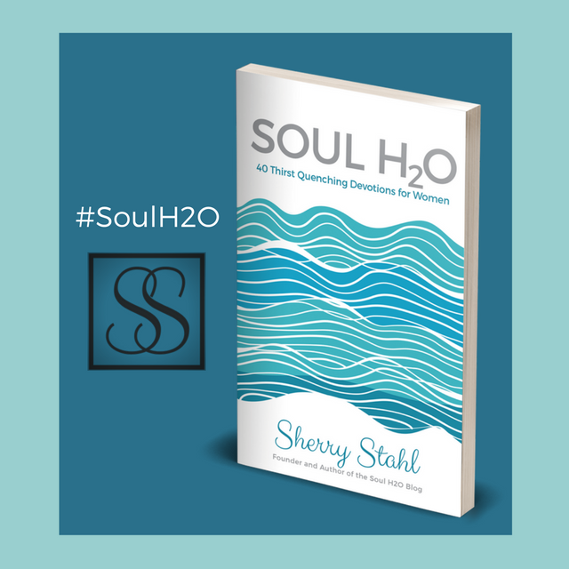 Soul H2O Book Launch by Sherry Stahl - Indiegogo
